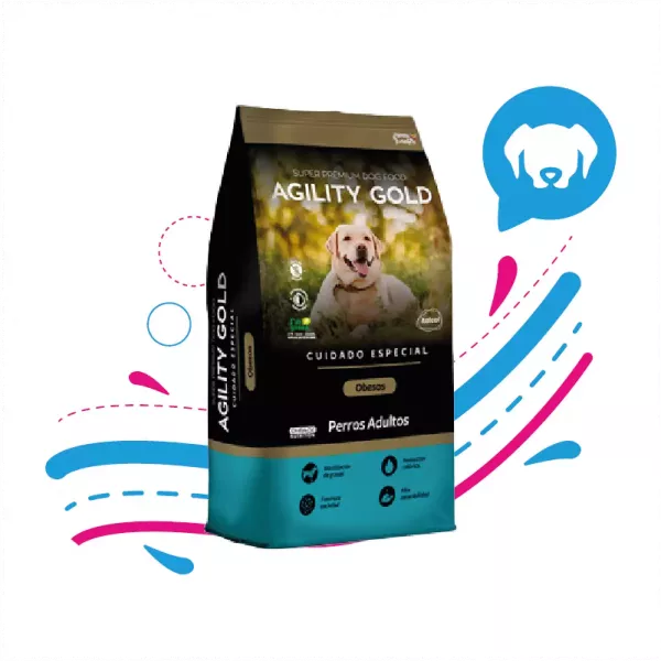 AGILITY GOLD OBESOS - Animal Center