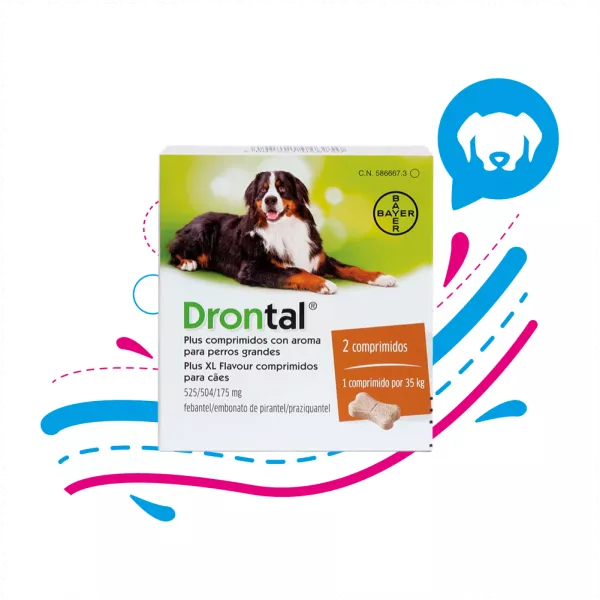 DRONTAL PS GRANDES X 1 TAB - Animal Center