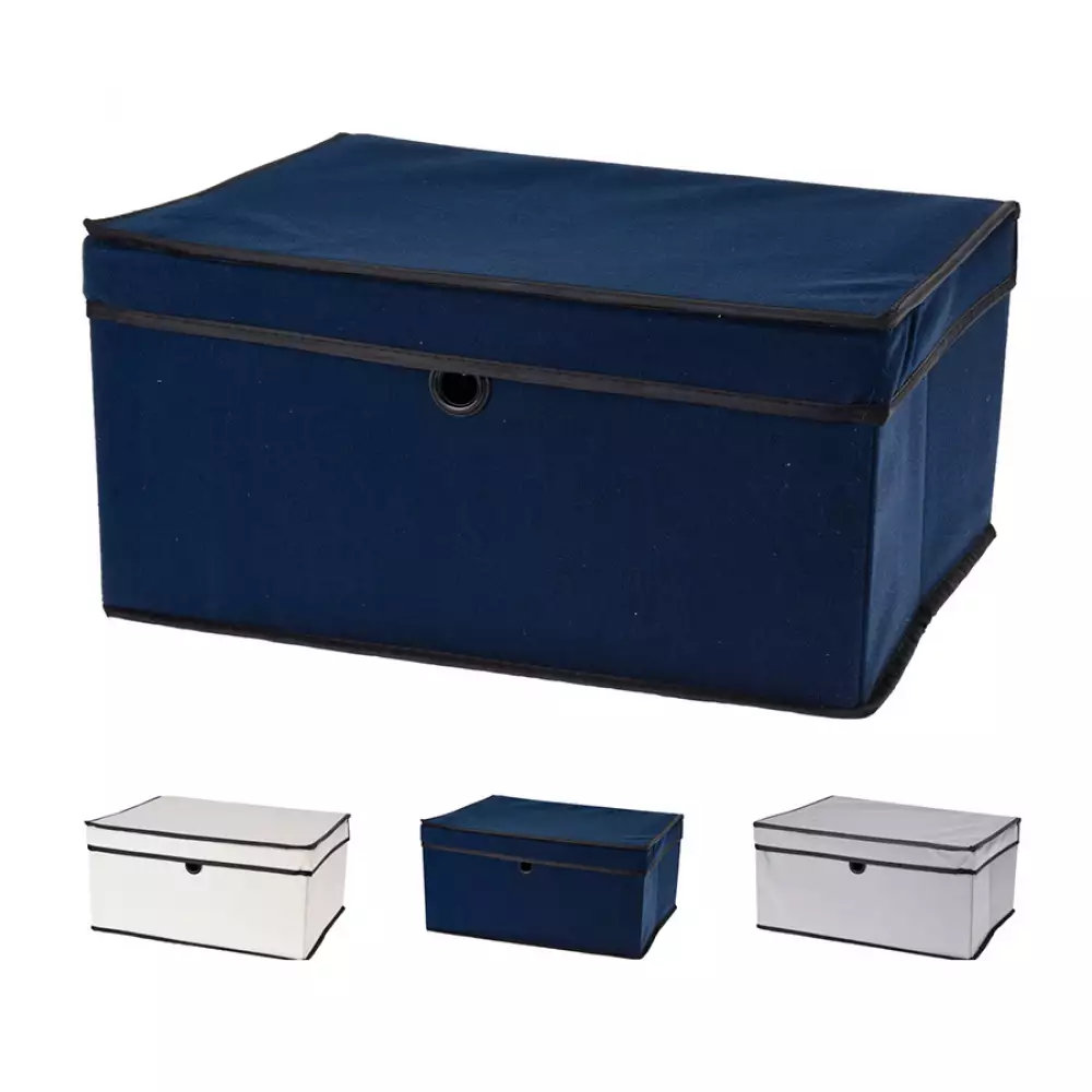 Caja Plegable Cp8501100 Surtido 39x29x19cm - Home Sentry