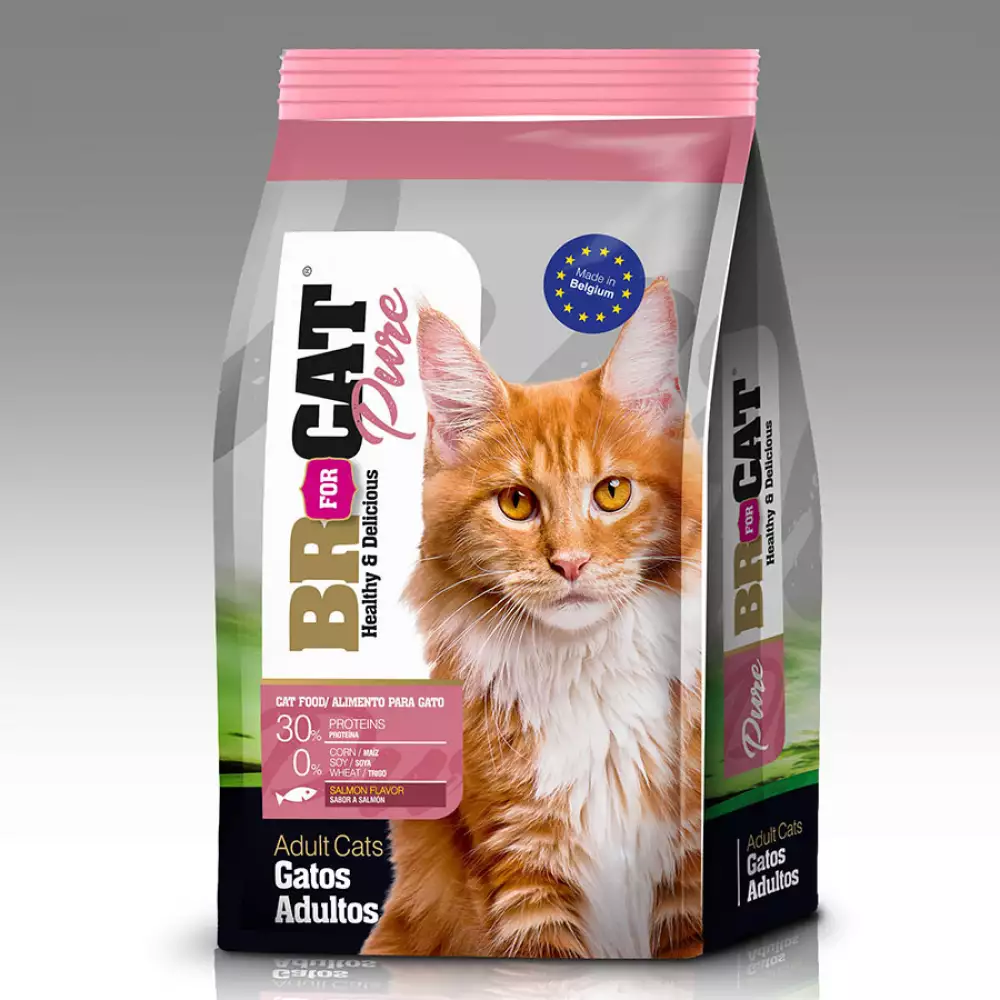 Concentrado Gato Br For Cat Pure Adulto Salmon 10kg - Home Sentry