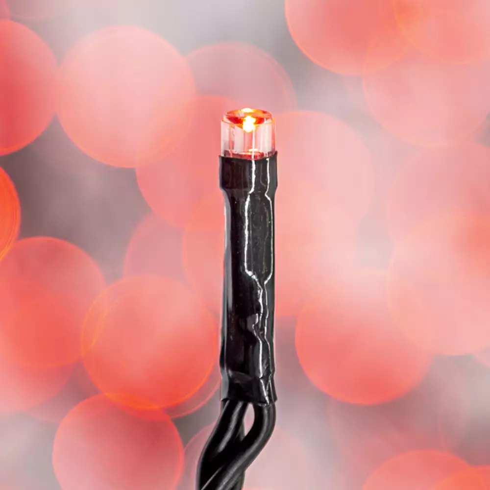 Luces de Navidad LED rojas | Home Sentry