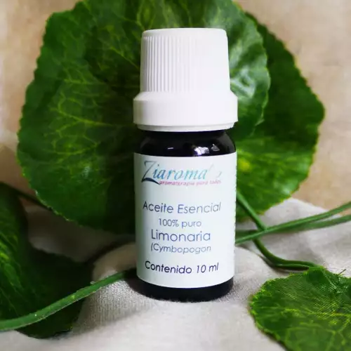 ACEITE ESENCIAL DE LIMONARIA - La Plaza Morada