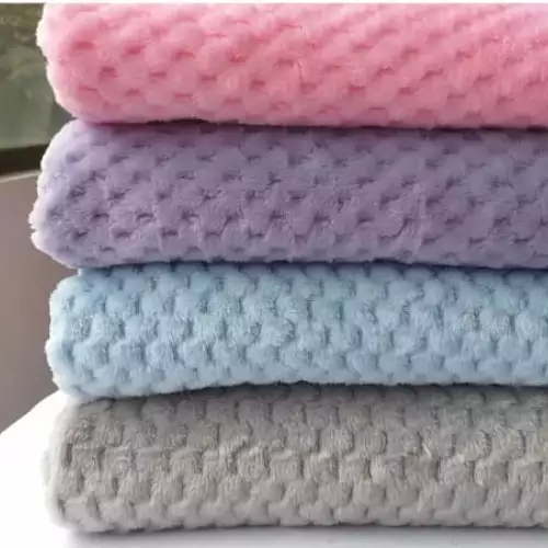 Rosa B - La Plaza Morada