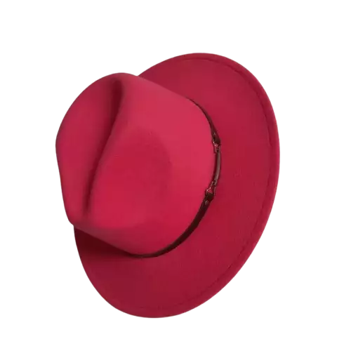 Sombrero Fedora unisex ROSA - La Plaza Morada