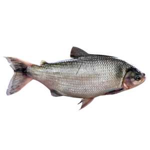 YAMU x 500 gr - Mercado Zapatoca